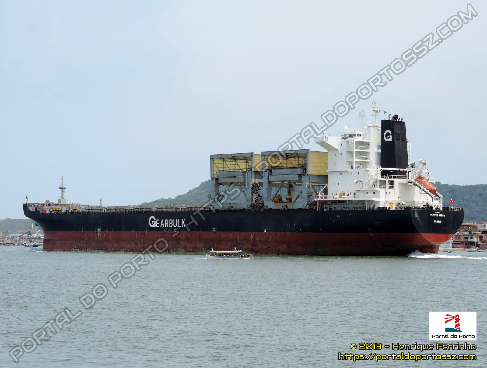 Plover Arrow - Portal do Porto