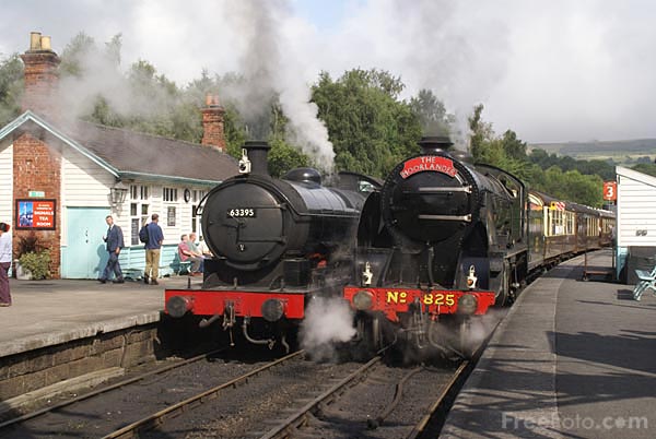 Frugal Freebies: July 10th is... (Includes Printable Freebies)