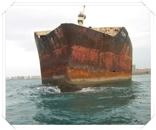 Fortaleza Nobre | Resgatando a Fortaleza antiga : Mara Hope - 30 Anos