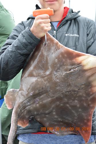 Pacific Northwest Saltwater Fish: A Spooled Fish Profile