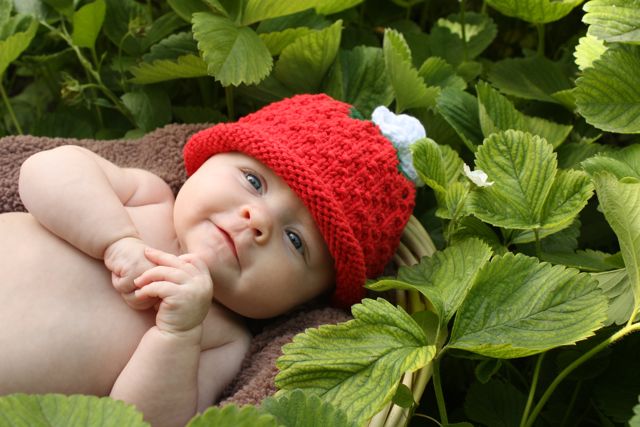 Honey Mommy: Strawberry Baby