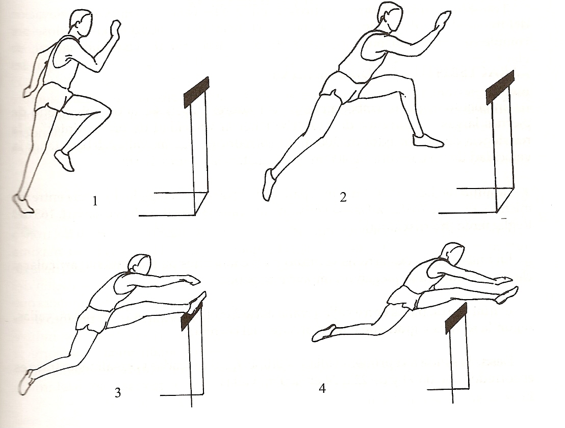 edeportes: Práctica vallas