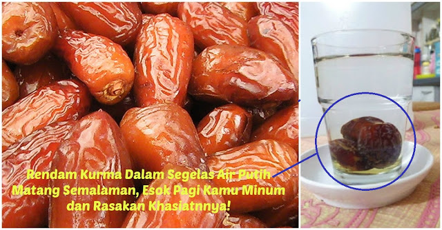 Rendam Kurma Dalam Segelas Air Putih Matang Semalaman, Esok Pagi Kamu ...