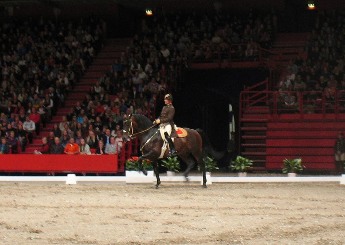 Hästdrömmar: Spanska ridskolan