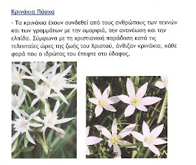 ...Το Νηπιαγωγείο μ' αρέσει πιο πολύ.: ΠΑΣΧΑΛΙΑ!!!ΤΟ ΛΟΥΛΟΥΔΙ ΤΟΥ ΠΑΣΧΑ!!!