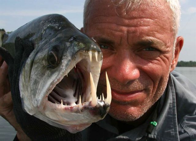 Waiting BD: Top 5 Scariest Fish on River Monsters (17 Pictures)