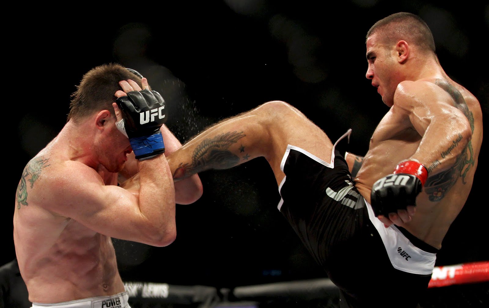 Kora 2018 كورة وقورة: Ultimate Fighting Championship (UFC)