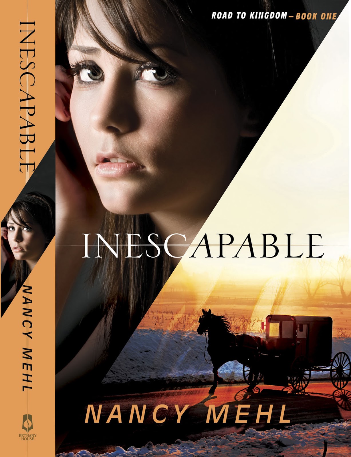 Nancy Mehl - Author: MY BOOKS