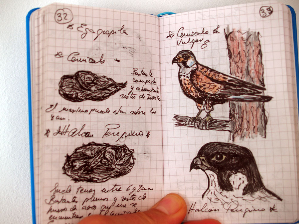 EL NATURALISTA: CUADERNO DE CAMPO UNA GUIA