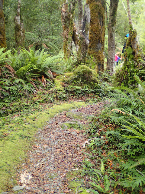 Come, walk with me.: Day 2: Hollyford Track. Pyke River, Lake Alabaster ...
