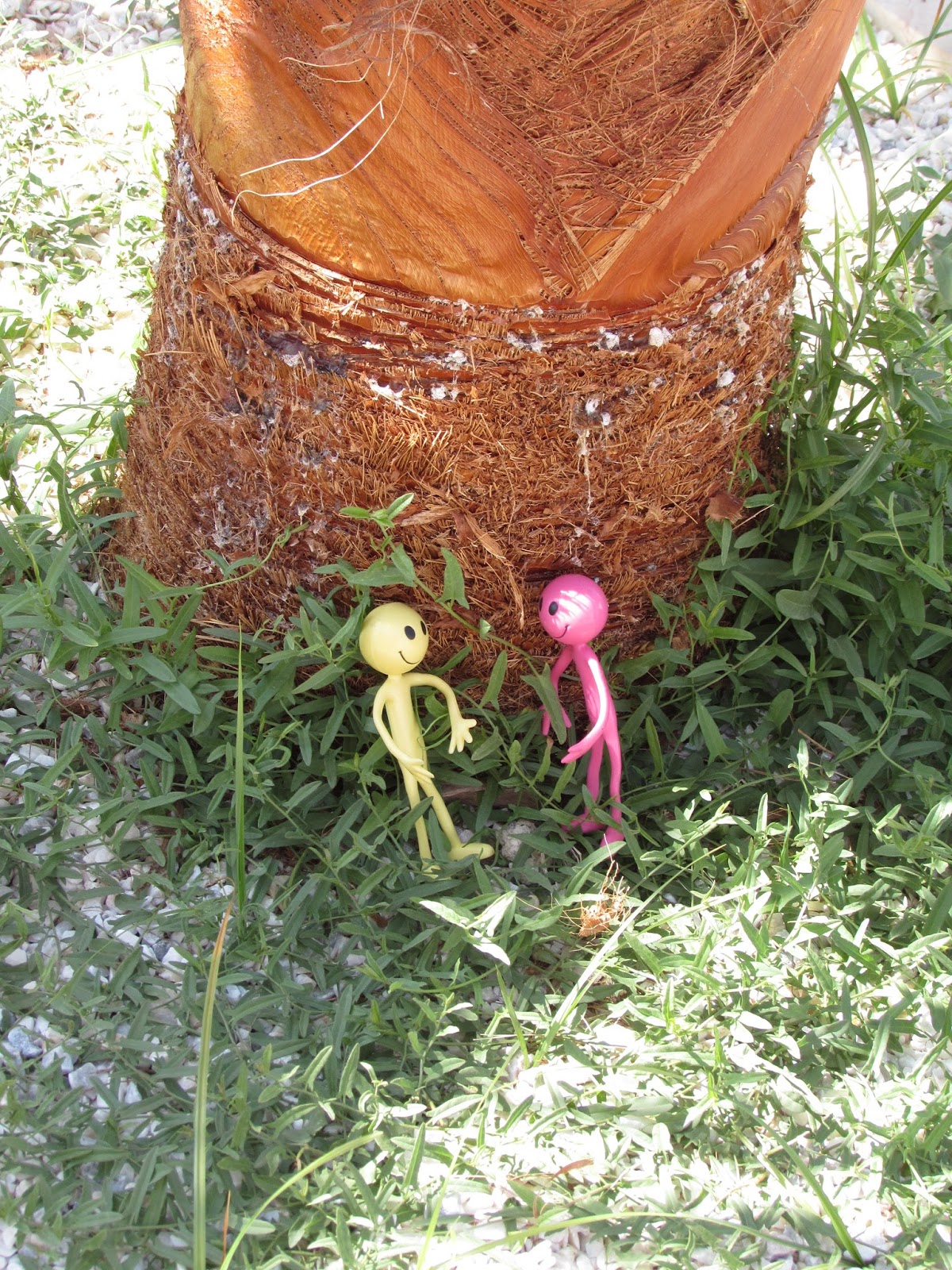 The Adventures of Mella Yella