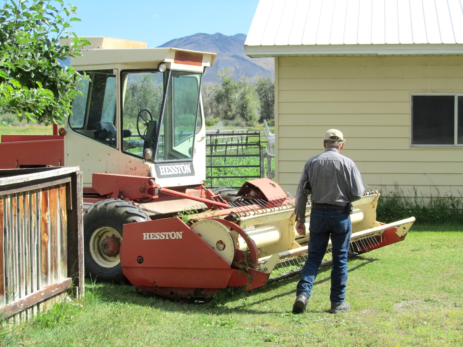 Keeping Focused: Swathing Hay