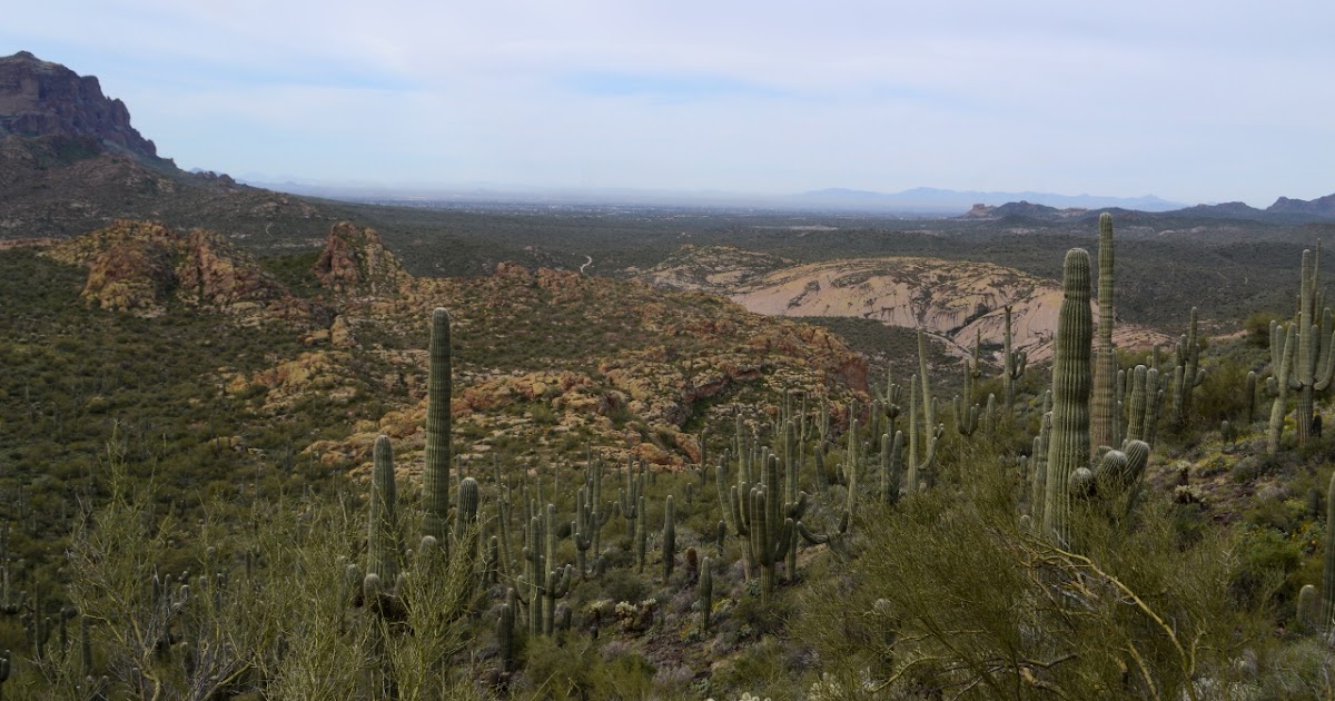 Hackberry Spring and Hackberry Mesa