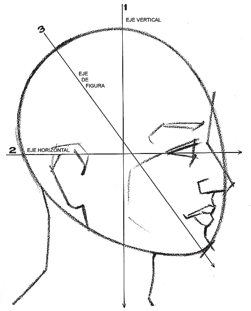 Arte y Comunicación Visual: Quinto Biológico