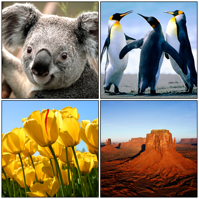 【Photoscope】版型功能 - 藍色憂鬱