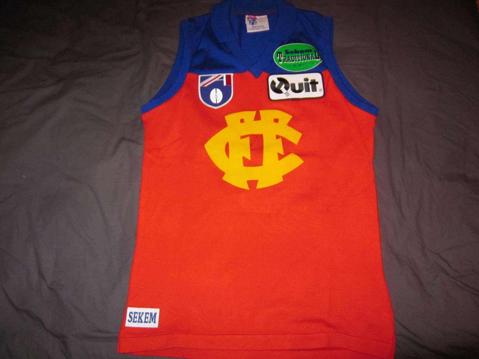 My Footy Jumper Project: 1995 Fitzroy Lions Home Jumper
