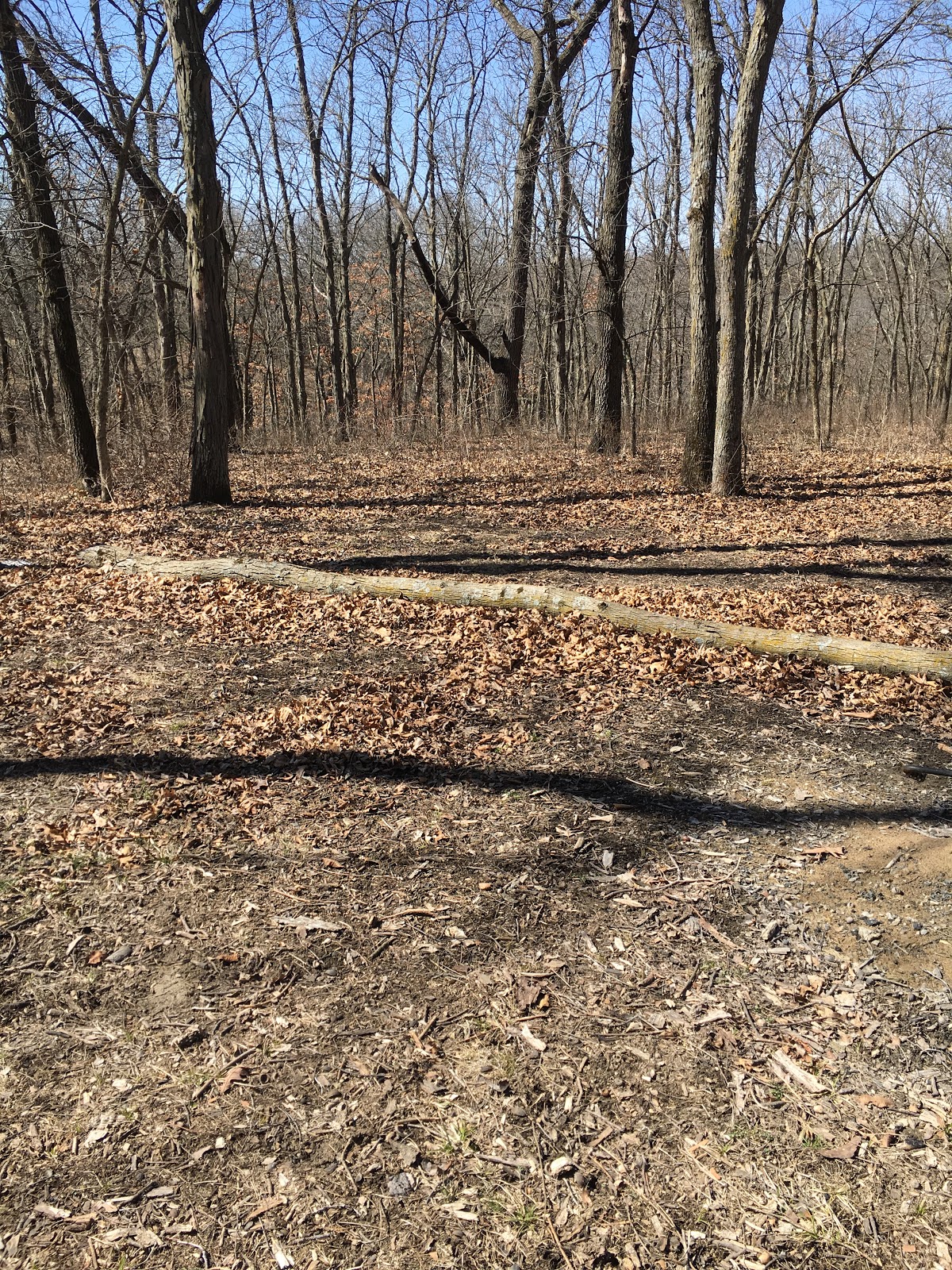 Backpacking Stephens State Forest - Woodburn Unit West Loop
