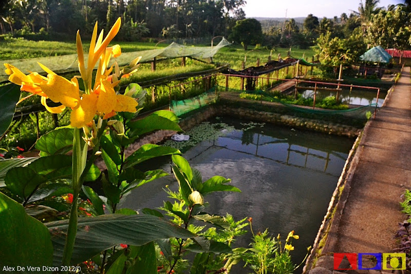 Rammmpa!: Nature and Me at Costales Nature Farms