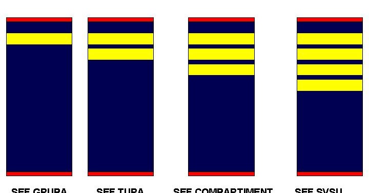 UNIFORME POMPIERI VOLUNTARI - SVSU SI SPSU: ACCESORII UNIFORMA