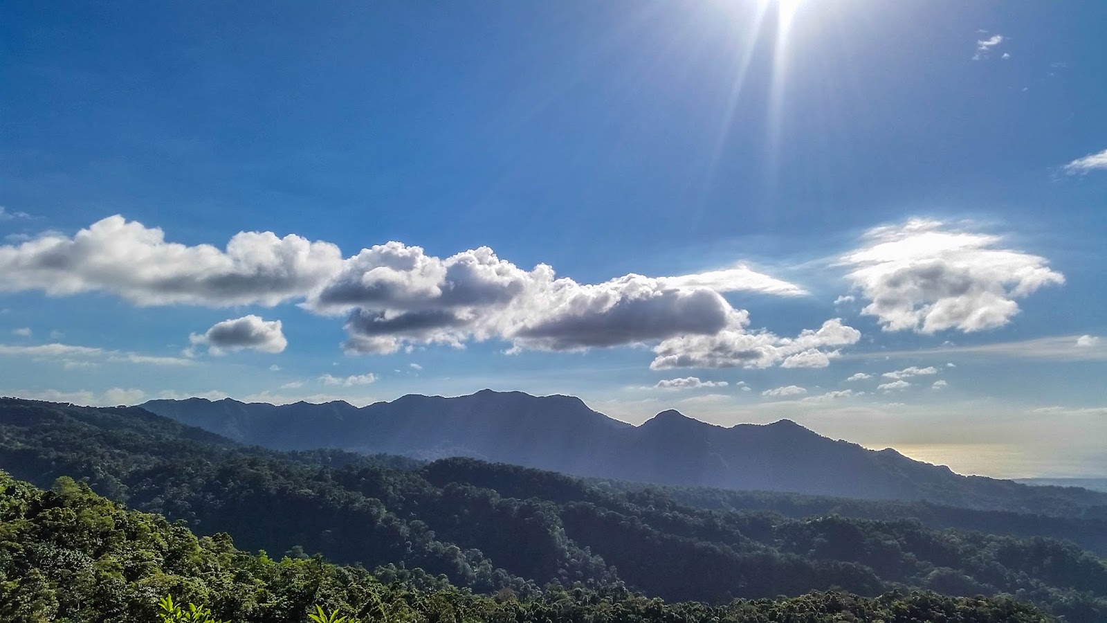 Wandering Den: The Journey to Mt. Natib | Pasukulan Falls