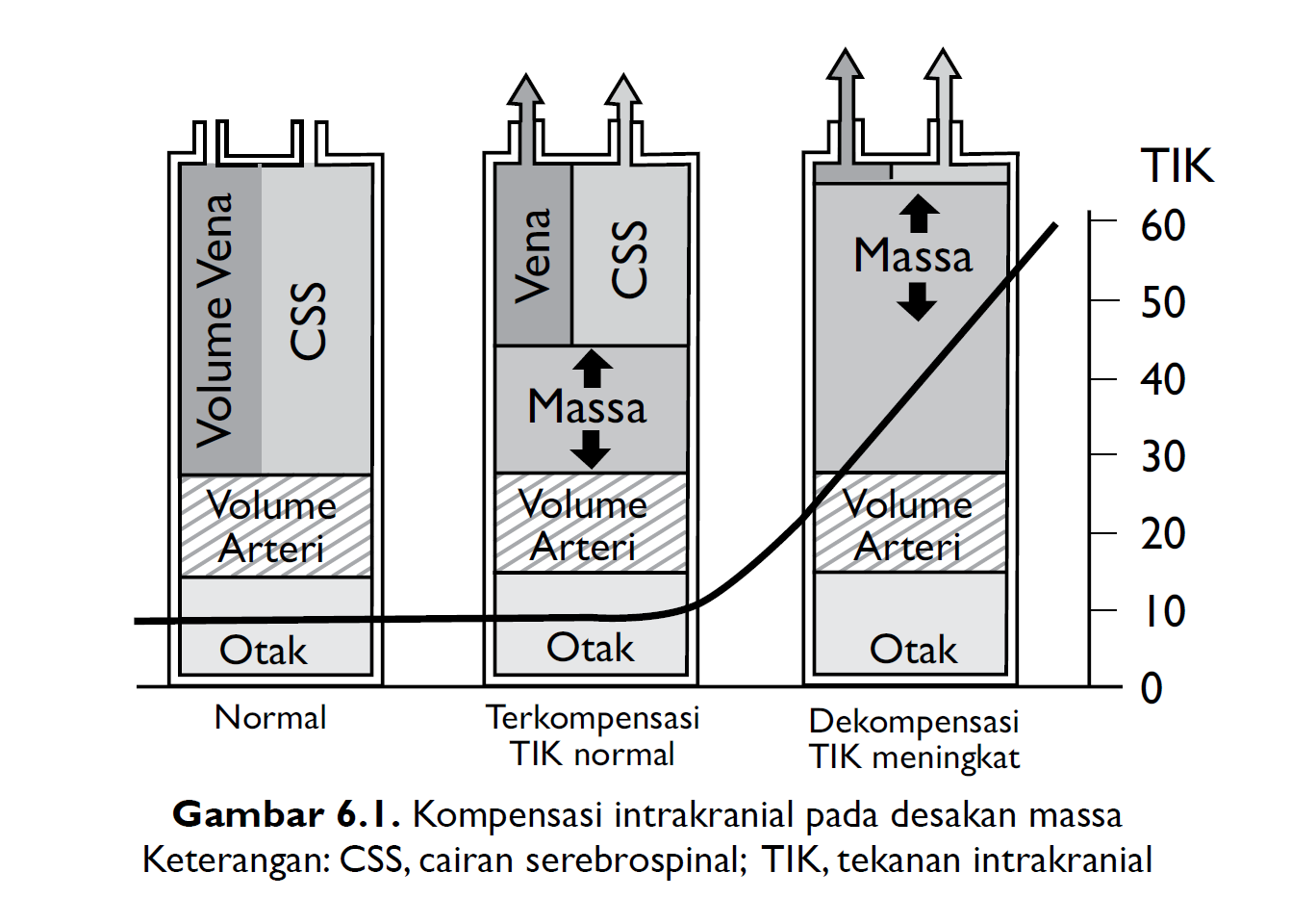Peningkatan Tekanan Intrakranial Pada Anak ~ Panduan Praktik Klinis ...