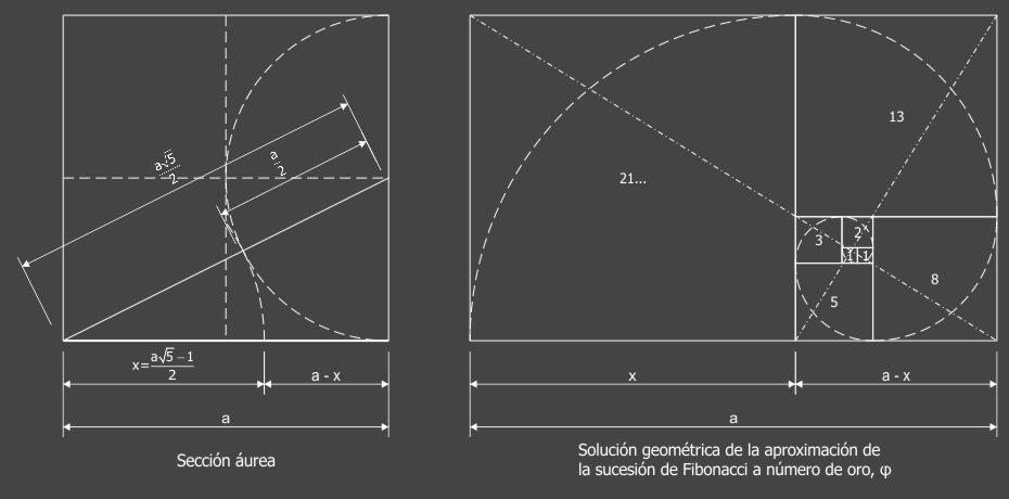 LA PROPORCION ~ Proporción y Escala