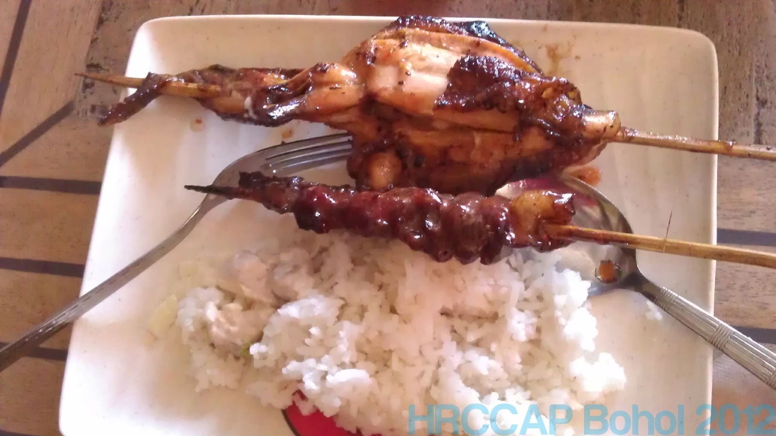 Balicasag & Virgin Islands in Bohol | Noelizm