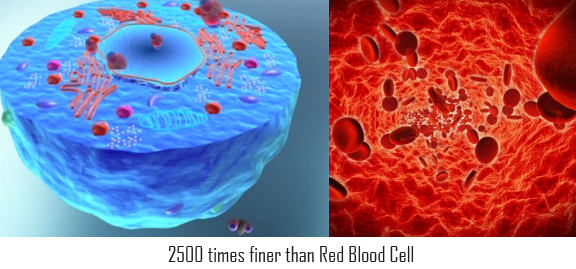 ECPI Not Just a Drinking water