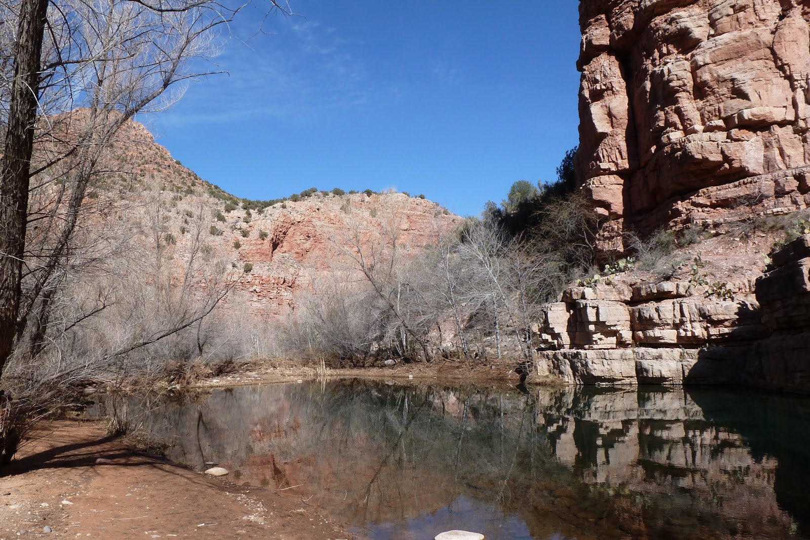 The Continuing Adventures of Eric, Noelle and Sierra: Coconino National ...