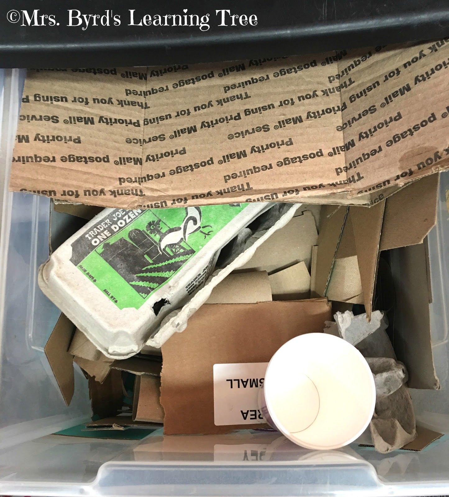 Mrs. Byrd's Learning Tree