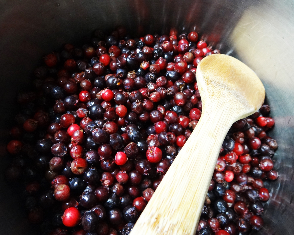 Serviceberry Jam
