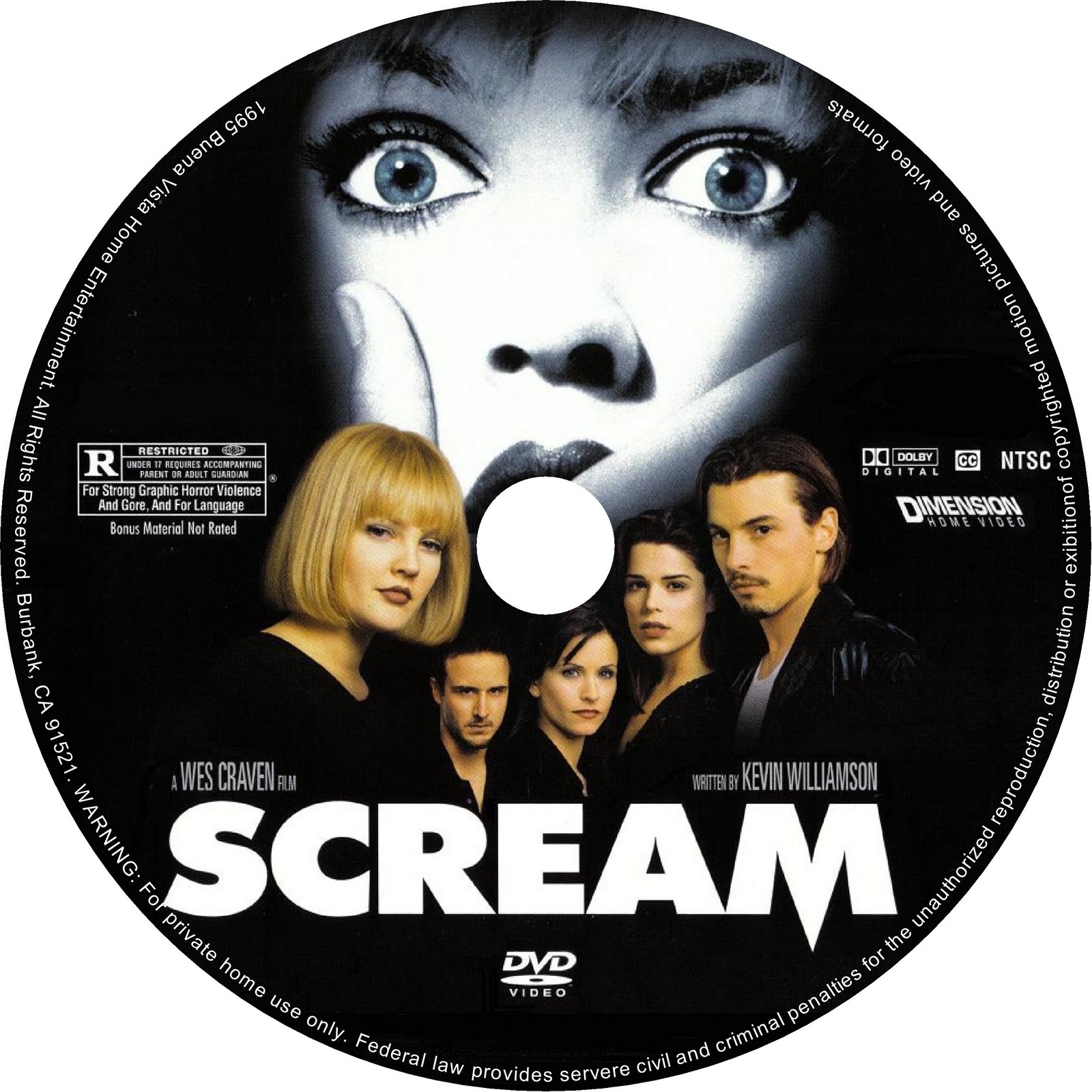 Filmovízia: DVD Disk [S]