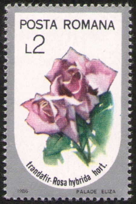 Timbre filatelice: Timbre filatelice cu flori din Romania