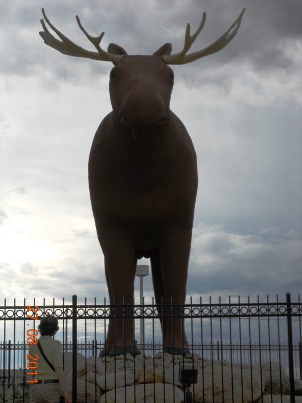 Exchanging Views: Prairie Pearls in Oceans of Wheat