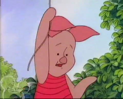 The New Adventures of Winnie The Pooh: My Hero