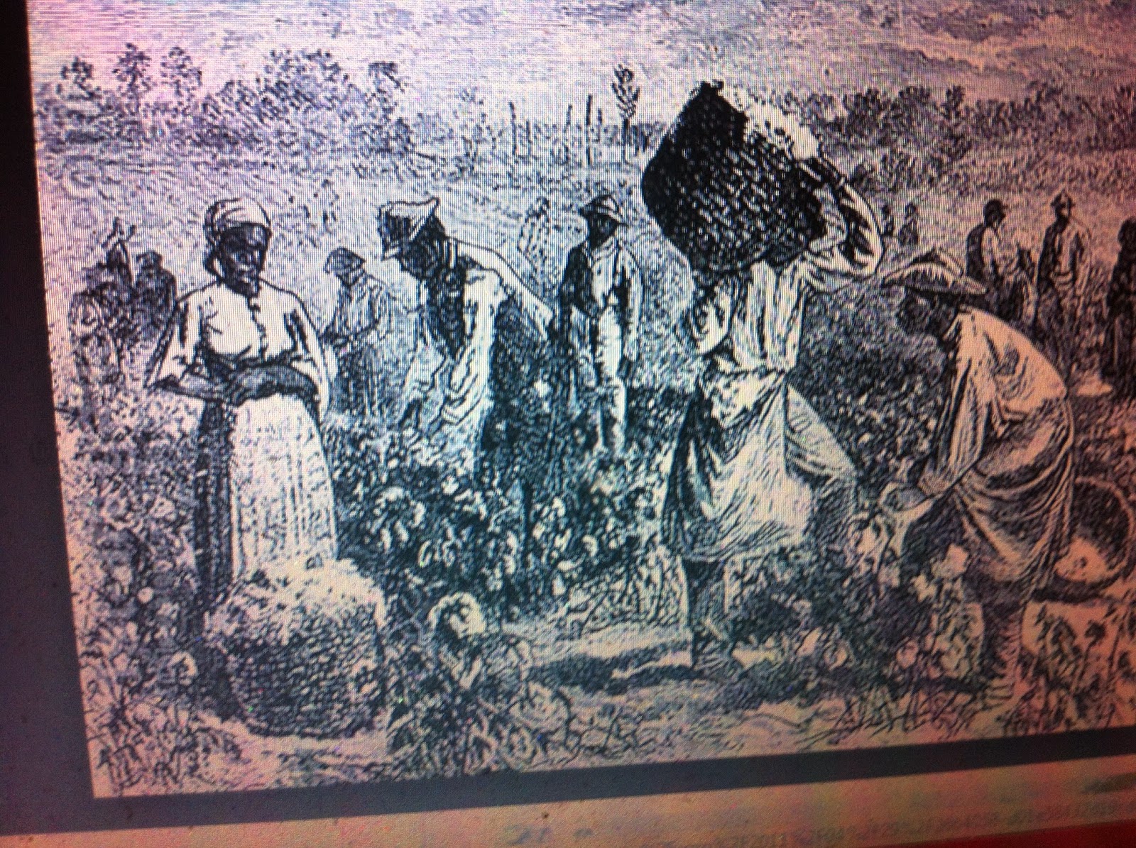 THE BLACK SOCIAL HISTORY:: BLACK SOCIAL HISTORY : A PLANTATION ECONOMY ...