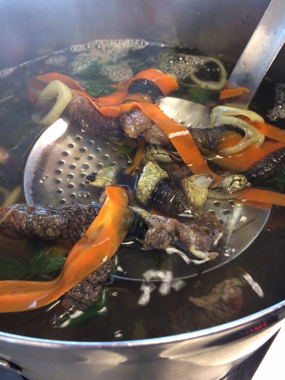 To Market, To Market with San Diego Foodstuff: Vince Schofield's ...