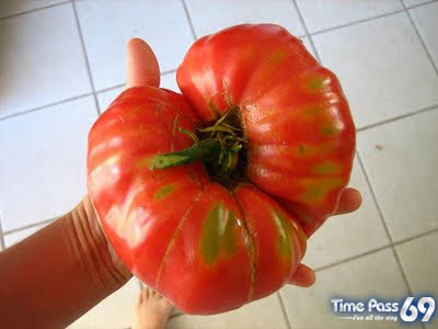 greenfinger: that's my boy!