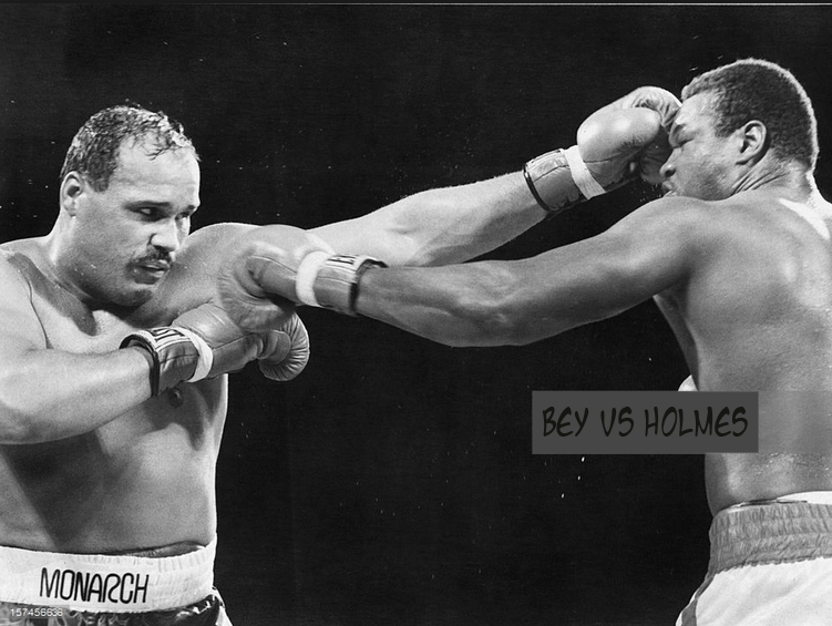 RONALD L. SMITH: THE LAST DAY OF DAVID BEY