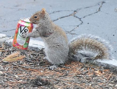 Gheorghe: The Blog: I should've had a....