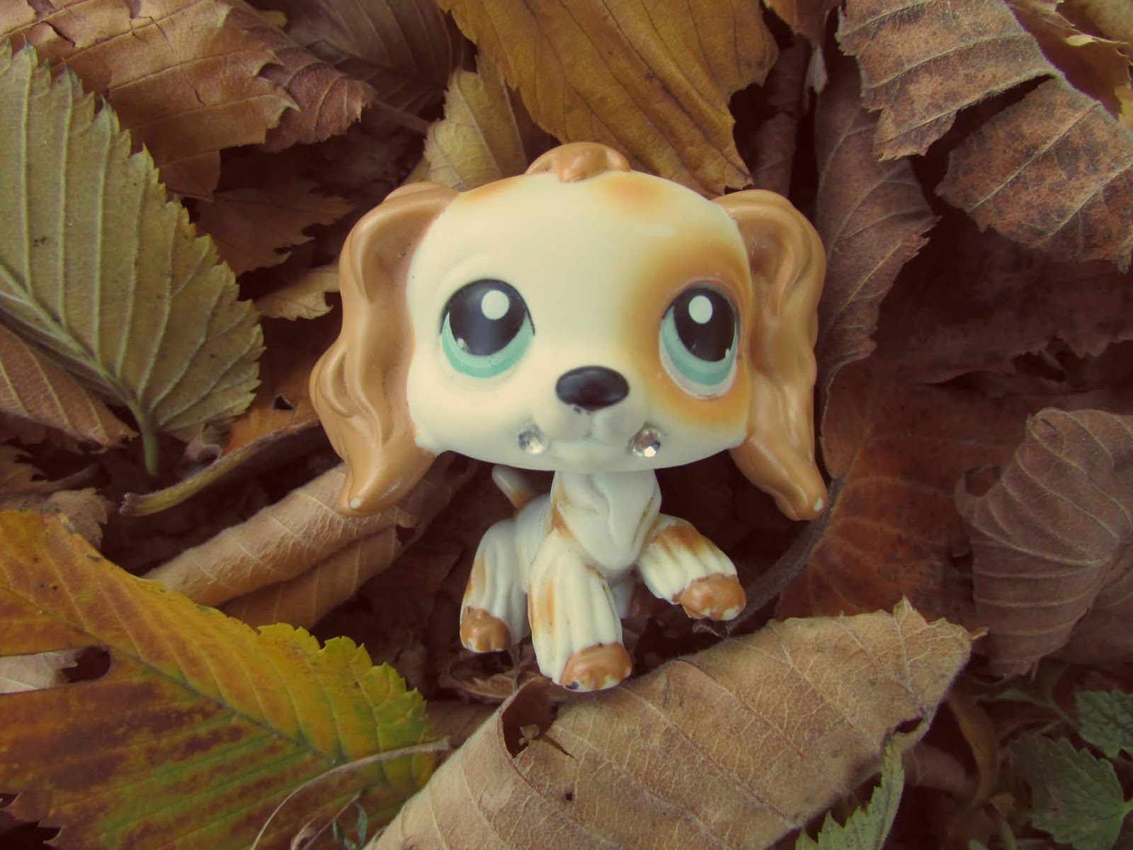 Mój świat LPS: 134. LPS: Jesienna sesja