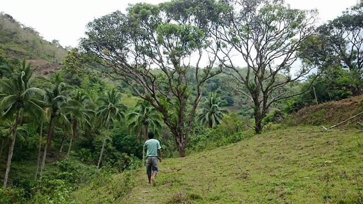 Tagbao's Secret: Mangasang Falls - The Lazy Investor's Way