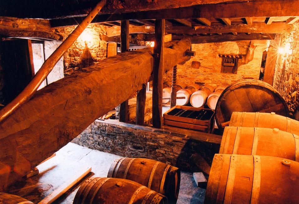 Mi Gran Canaria: ASERRADOR, MONTAÑA EL (TEJEDA)