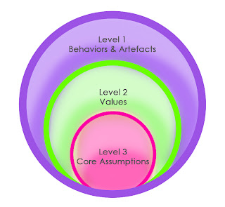 Communication & Organisation Blog: Chapter 5: Cultural Approaches