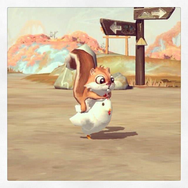 Daily Napkins: Squirrel RIding Chicken