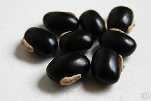 Mucunã - Mucuna pruriens