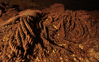 Just Genesis : The Ancient Egyptians Were Seafaring