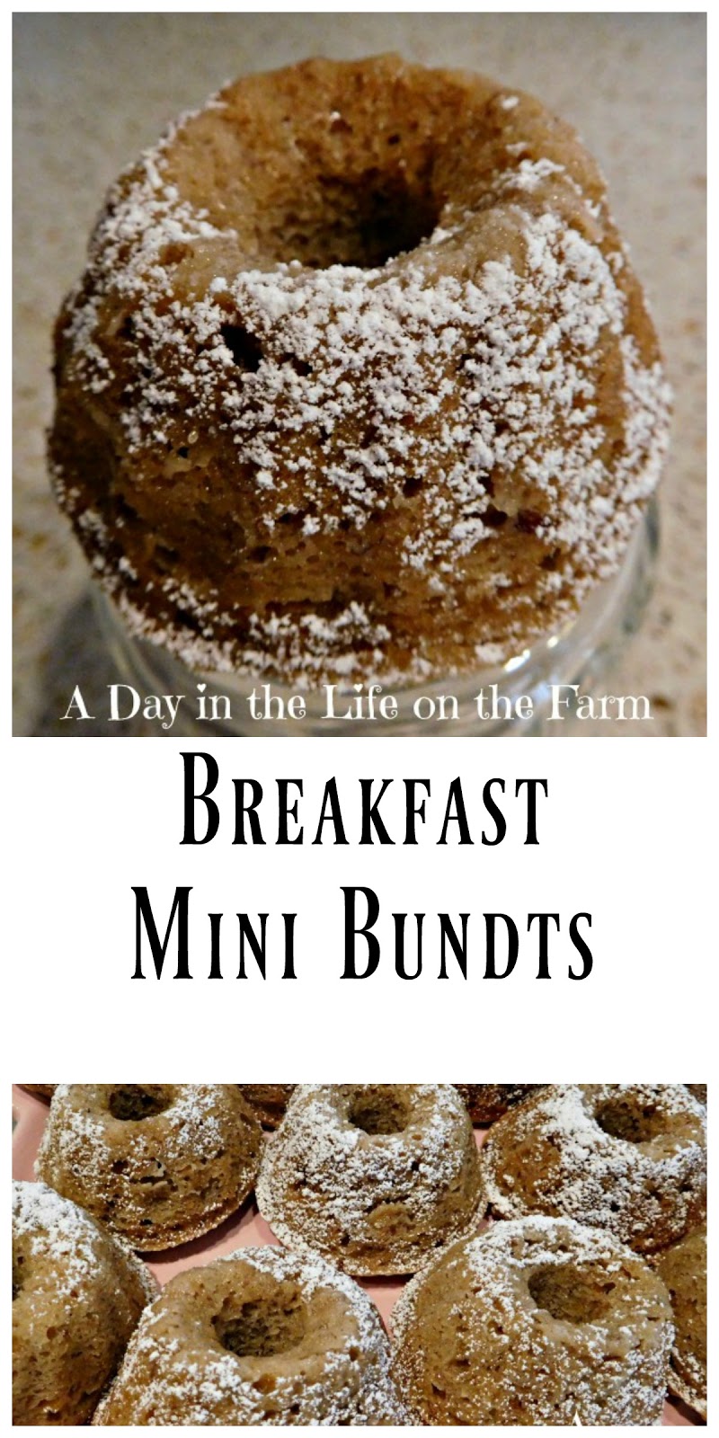 A Day in the Life on the Farm: Breakfast Mini Bundts #BundtBakers