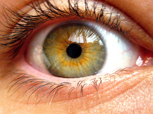 Nine Day Wonder: A rotten horrible challenge from Tobin Elliott