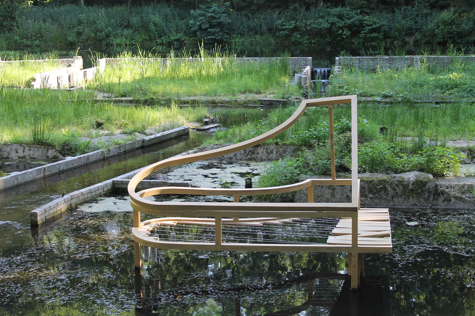 Helderrood: Drift in Waterloopbos (NOP) - waanzinnige locatie met mooie ...